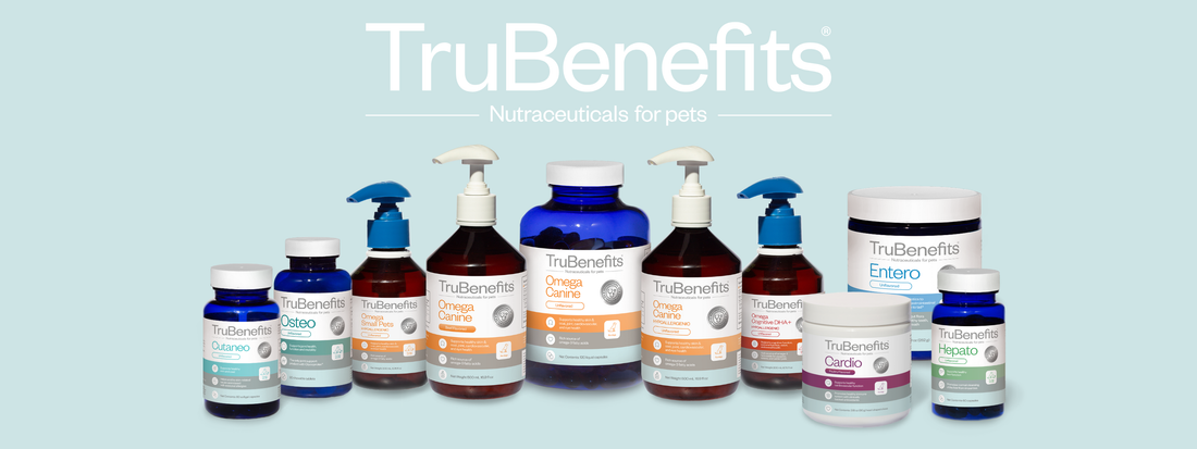 Veterinarian Recommended Solutions