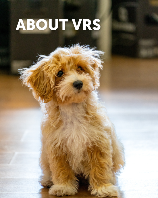 About VRS – Veterinarian Recommended Solutions